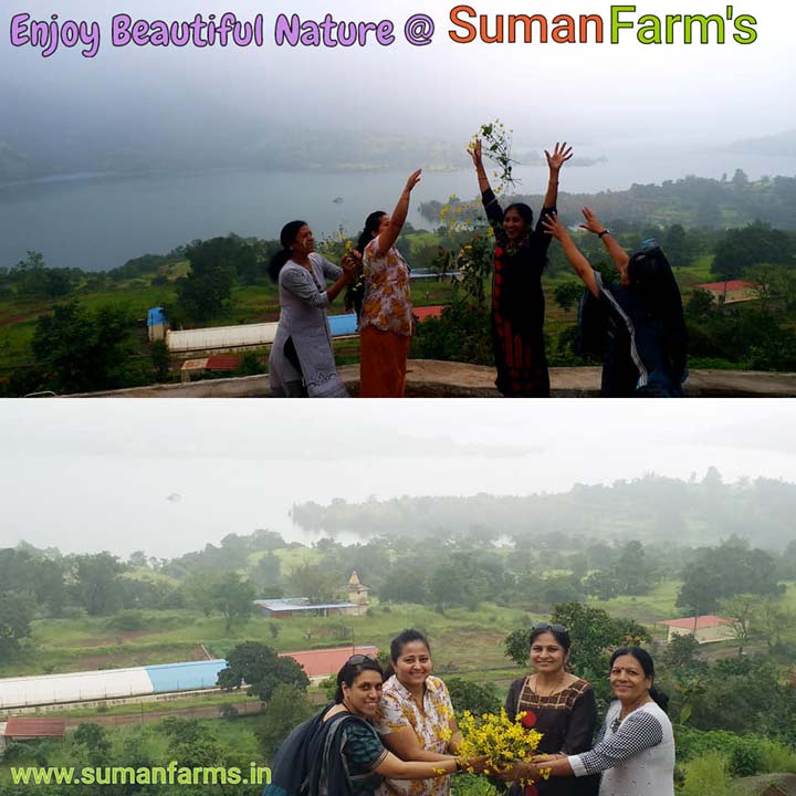 Gallery – SUMAN FARMS