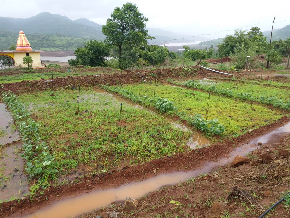 Gallery – SUMAN FARMS