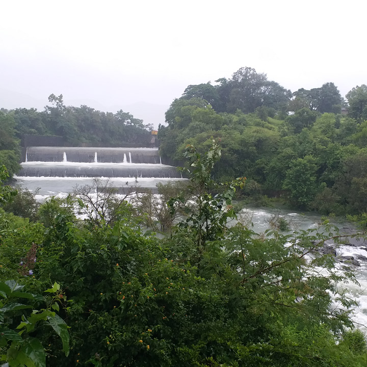 Gallery – SUMAN FARMS