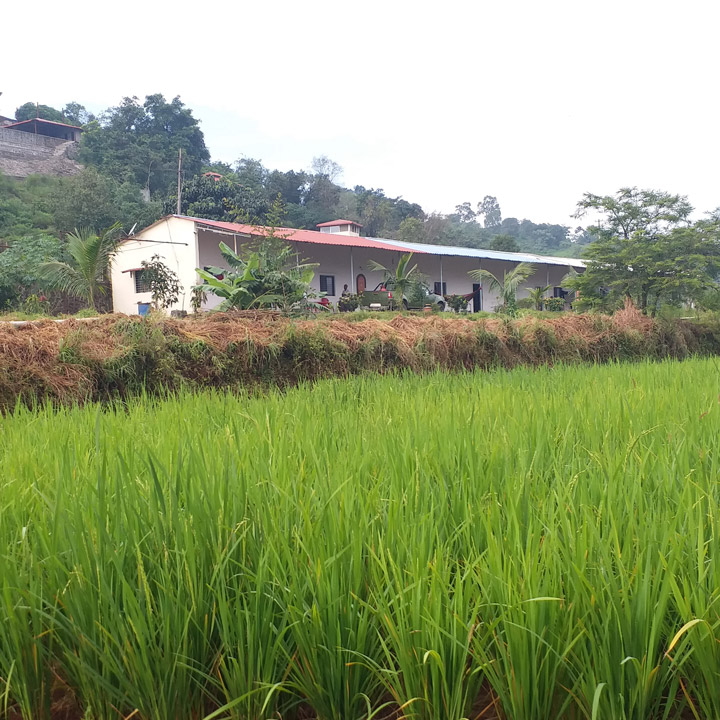 Gallery – SUMAN FARMS