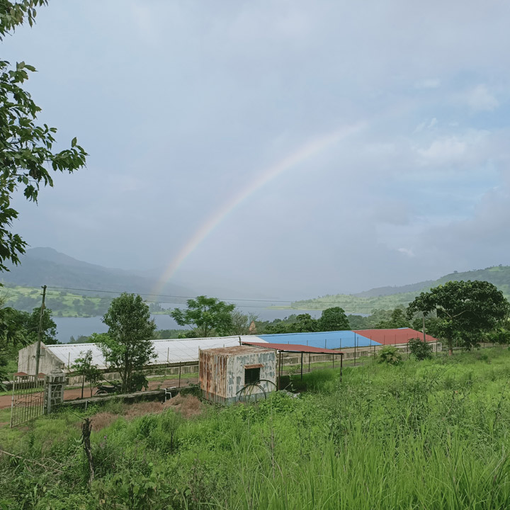 Gallery – SUMAN FARMS