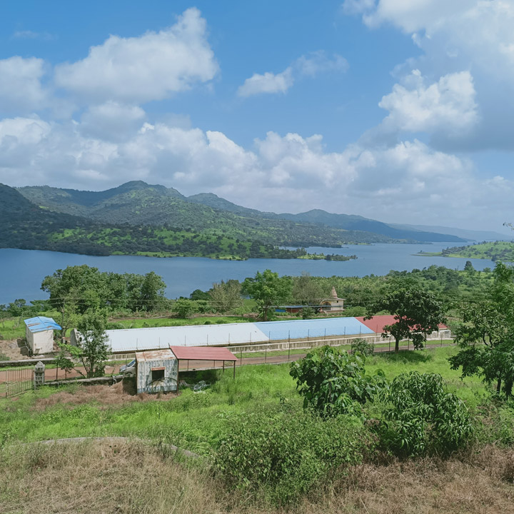 Gallery – SUMAN FARMS