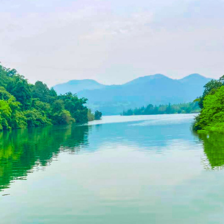 Gallery – SUMAN FARMS