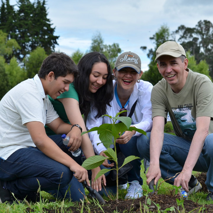 Activities – SUMAN FARMS